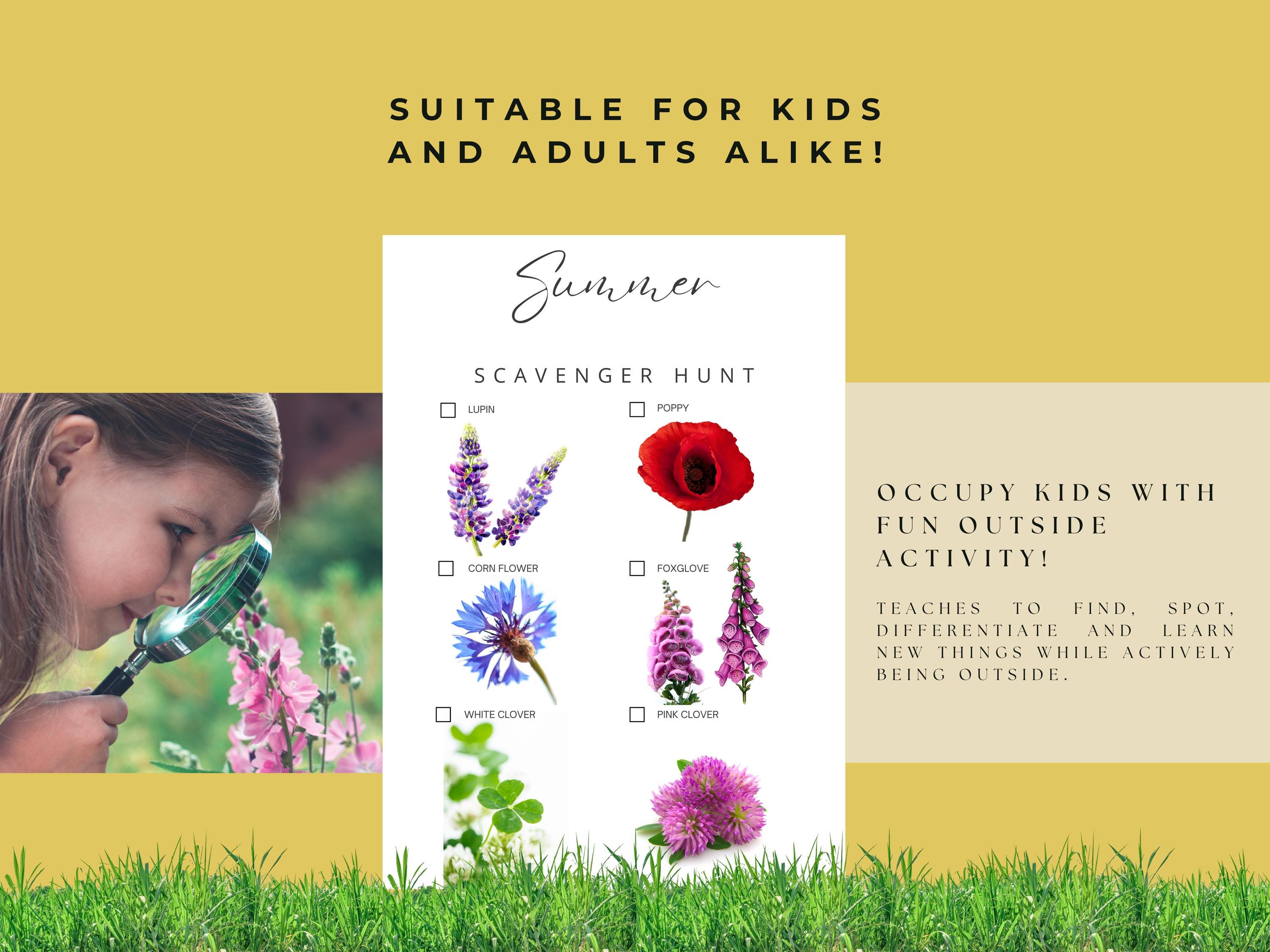 ULTIMATE Summer Scavenger Hunt Printable Scientific Outdoor Activity ...