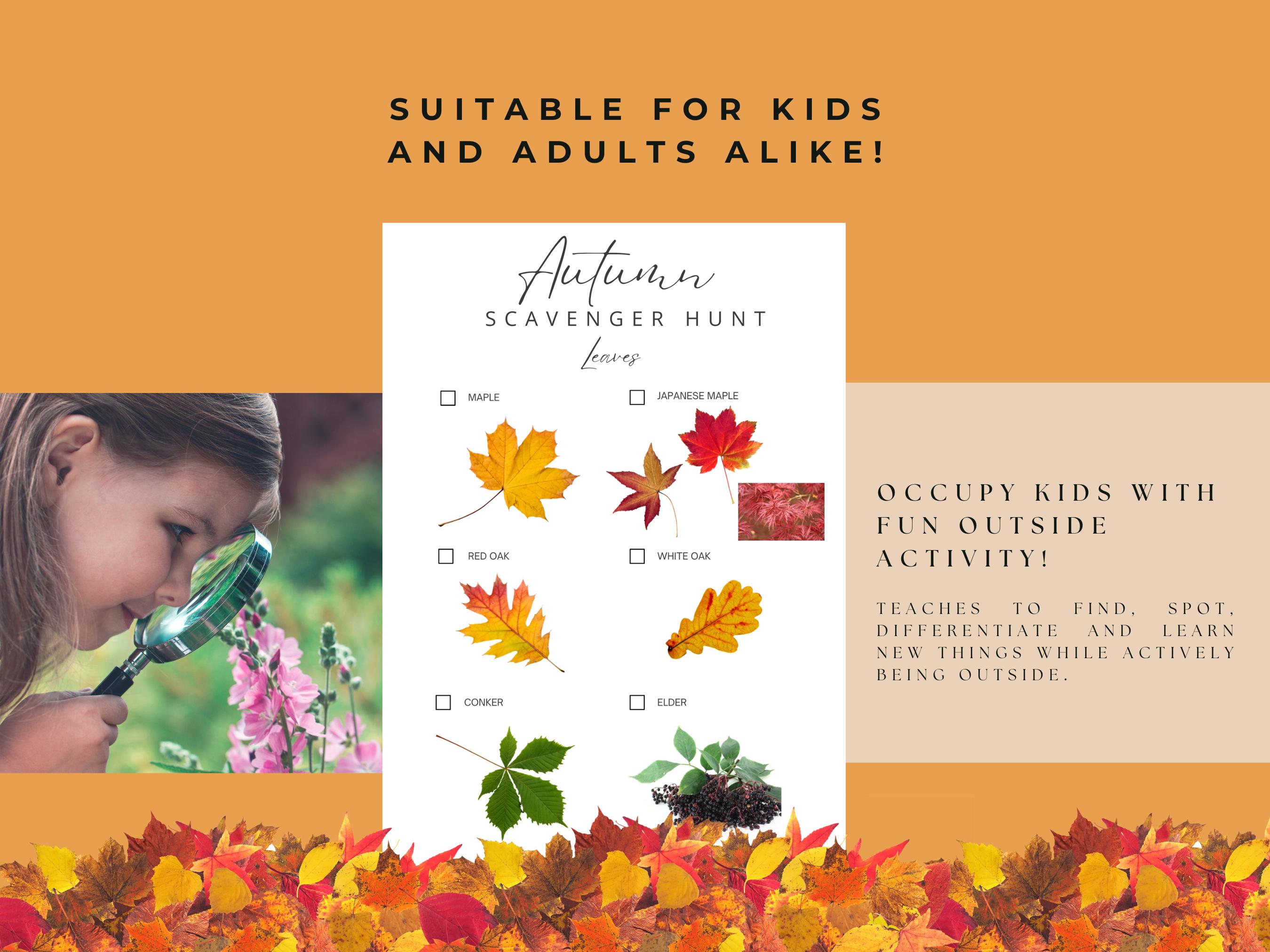 ULTIMATE Autumn Scavenger Hunt Printable | Scientific Fall Outdoor ...