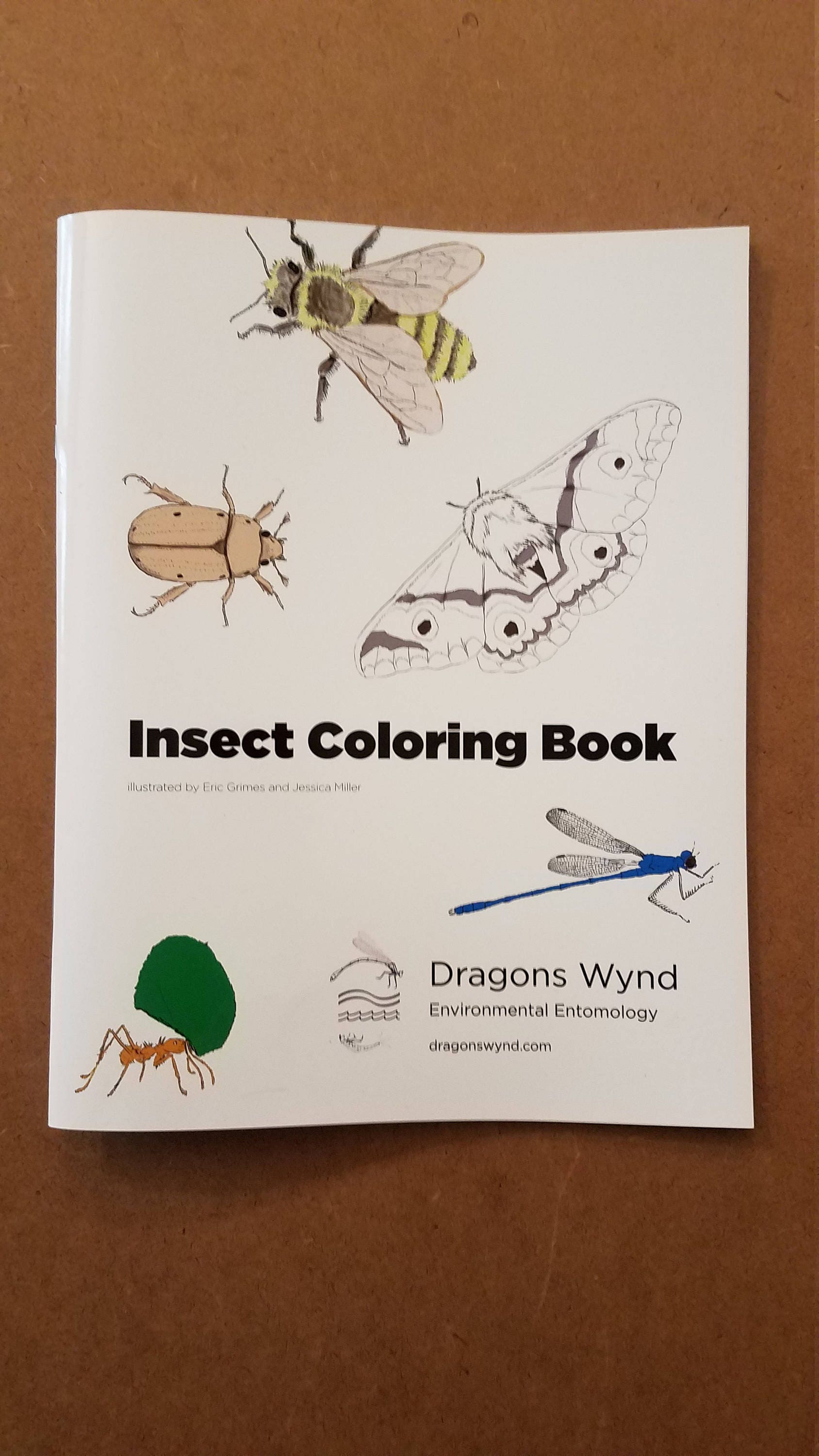 Insect Coloring Book - Etsy