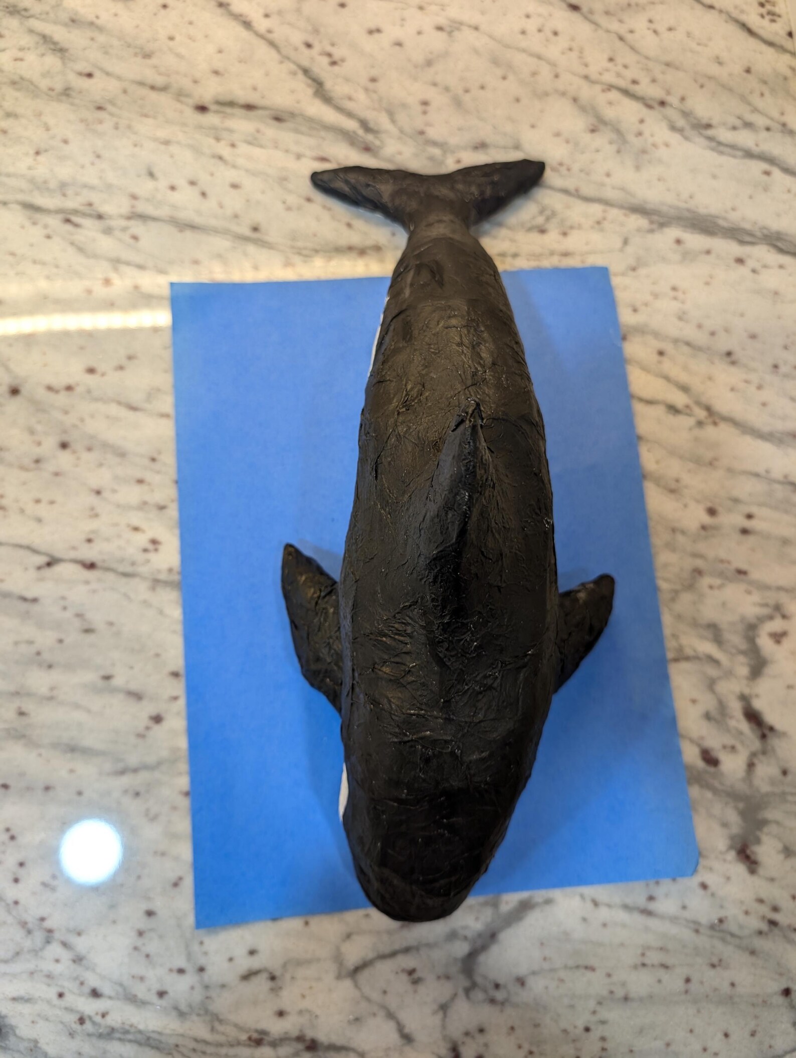 Paper Mache Orca - Etsy