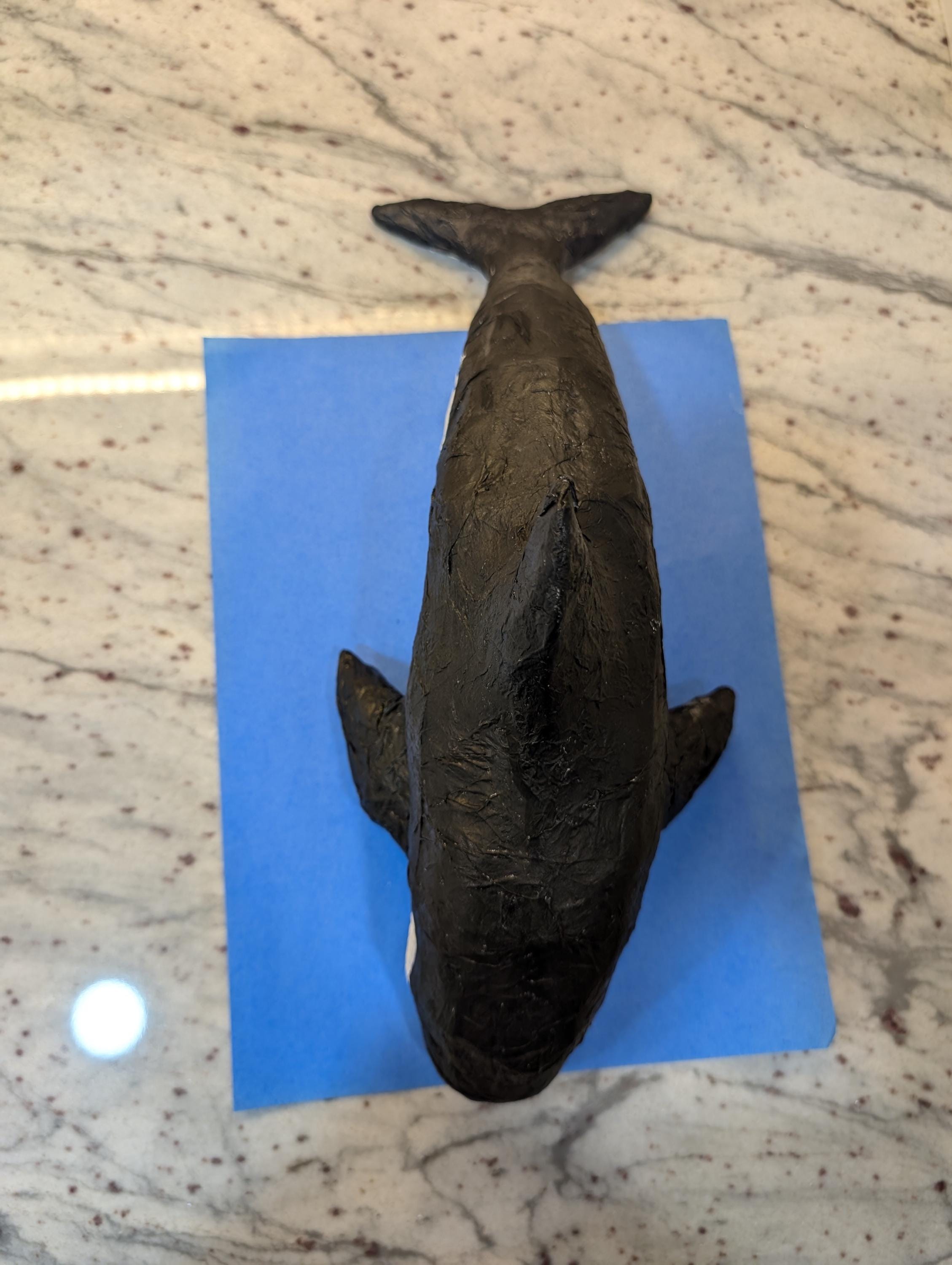 Paper Mache Orca - Etsy