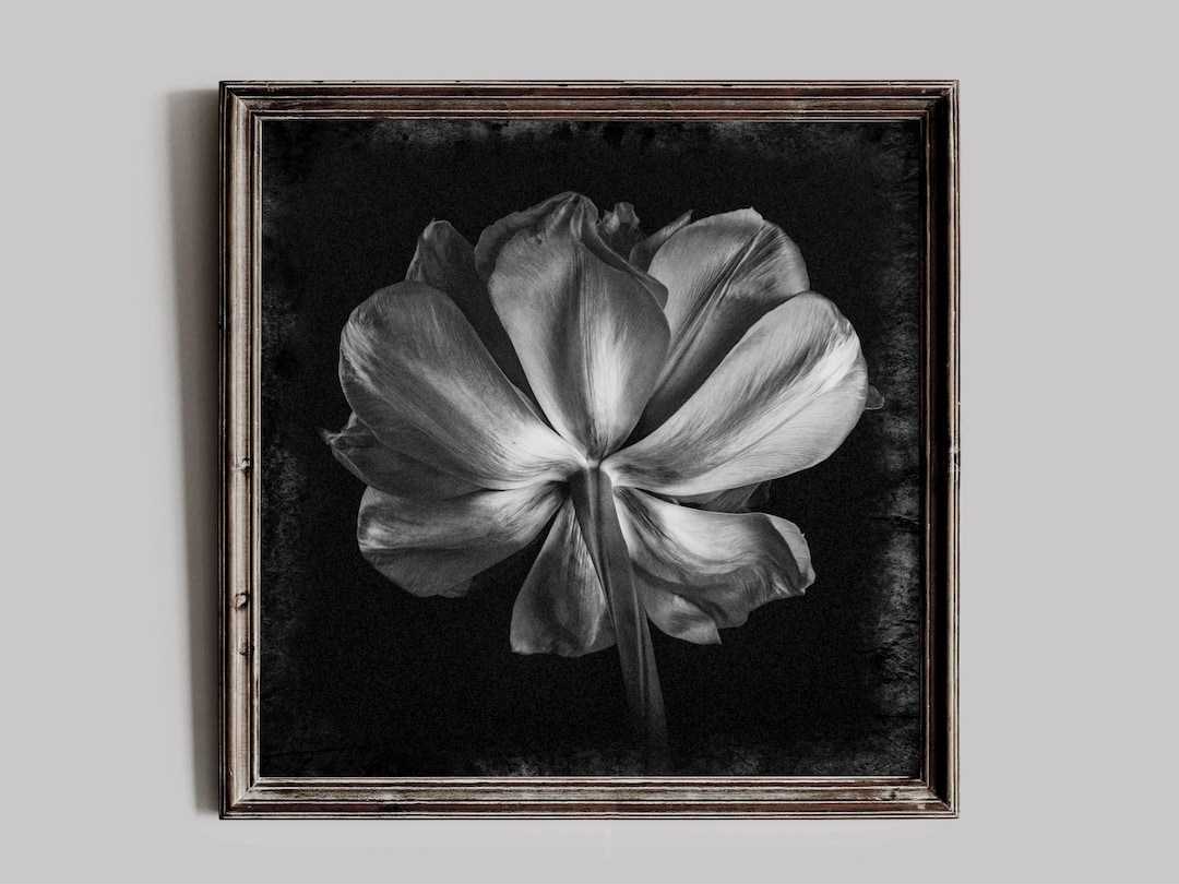 Back of Tulip Print, Vintage Black White Floral DIGITAL DOWNLOAD Fine ...