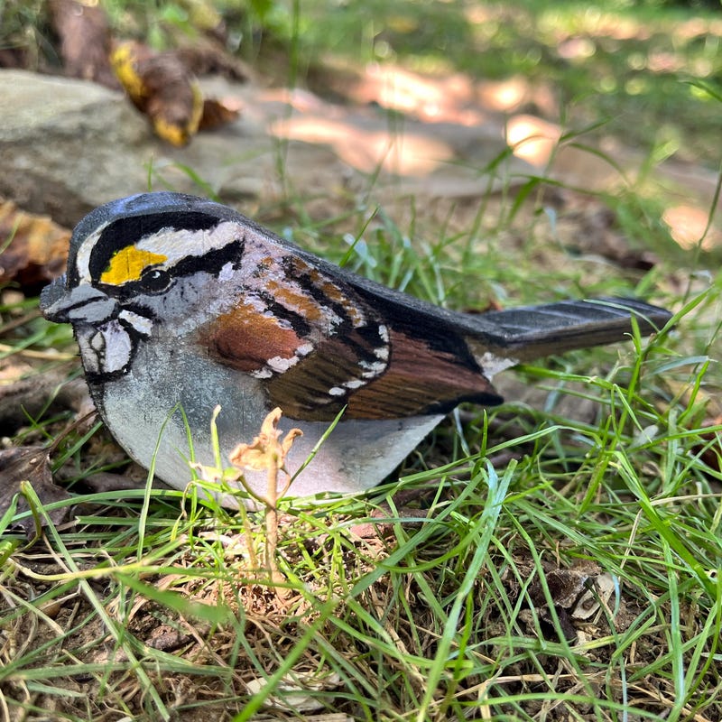 Hand Painted Bird - Etsy