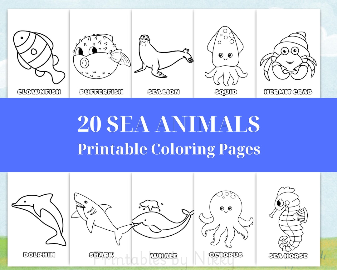 20 Page Kids Easy Sea Animals Coloring Book | Animal Themed Simple ...