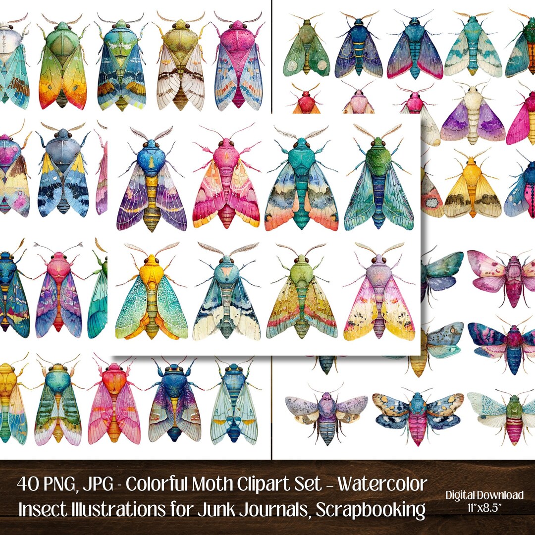 Watercolor Moth Clipart Set: 40 PNG & JPG Insect Illustrations (digital ...