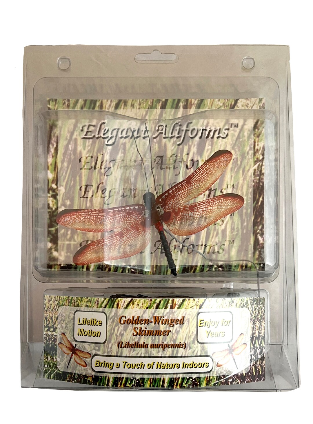 Aliforms Golden Winged Skimmer Moving Dragonfly - Etsy