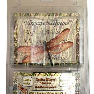 Aliforms Golden Winged Skimmer Moving Dragonfly - Etsy