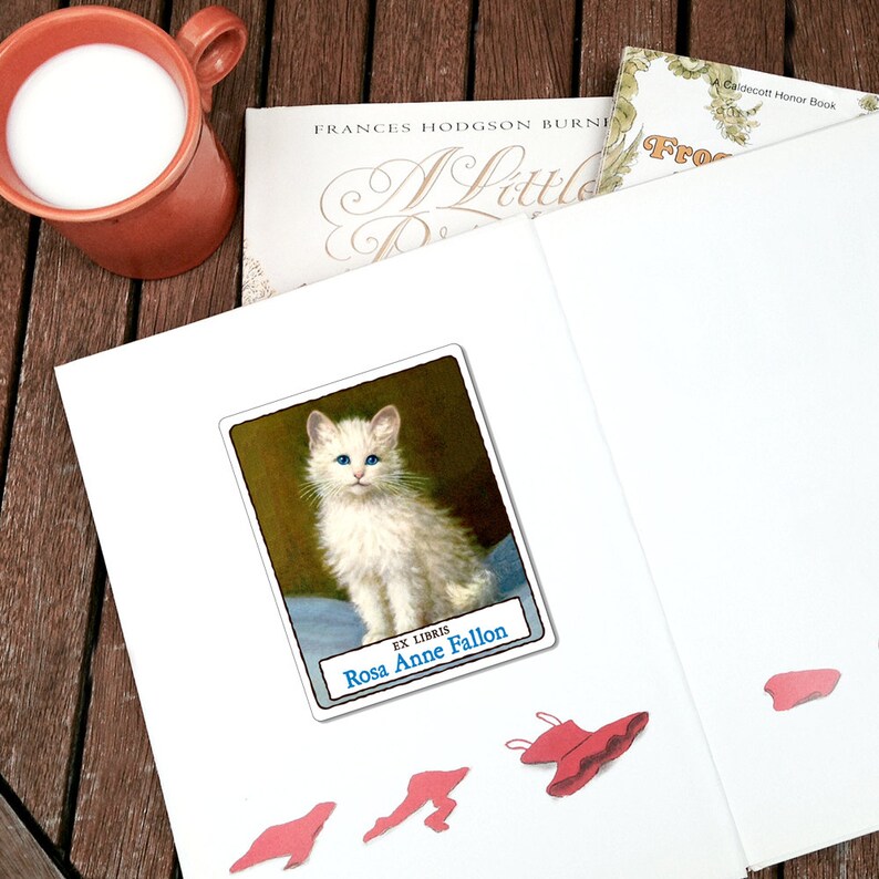 Fluffy White Kitten Personalized Bookplates CAT LOVER GIFT - Etsy