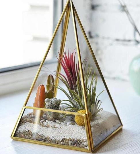 Large Geometric Glass Terrarium, Prism Jewelry Box, Handmade Terrarium ...