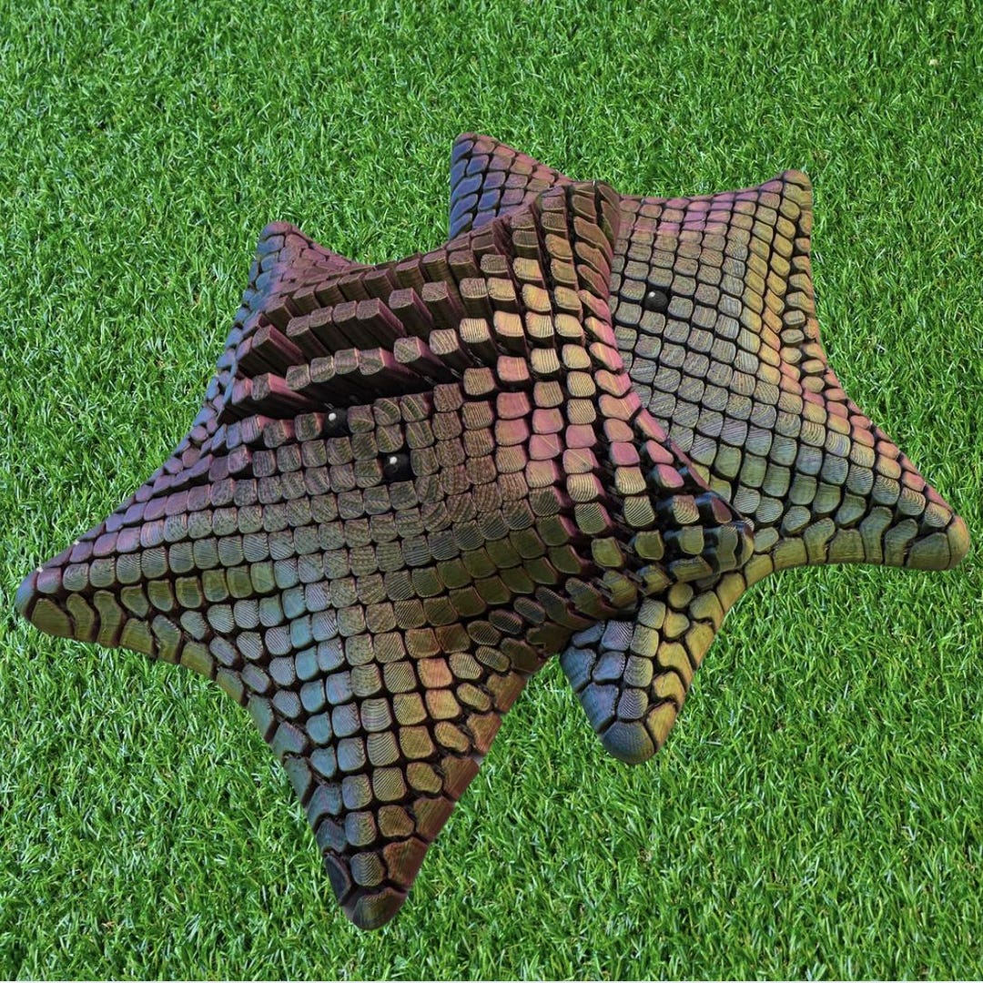 3D Articulated Starfish Fidget | STLFLIX | Sammy the Starfish - Etsy