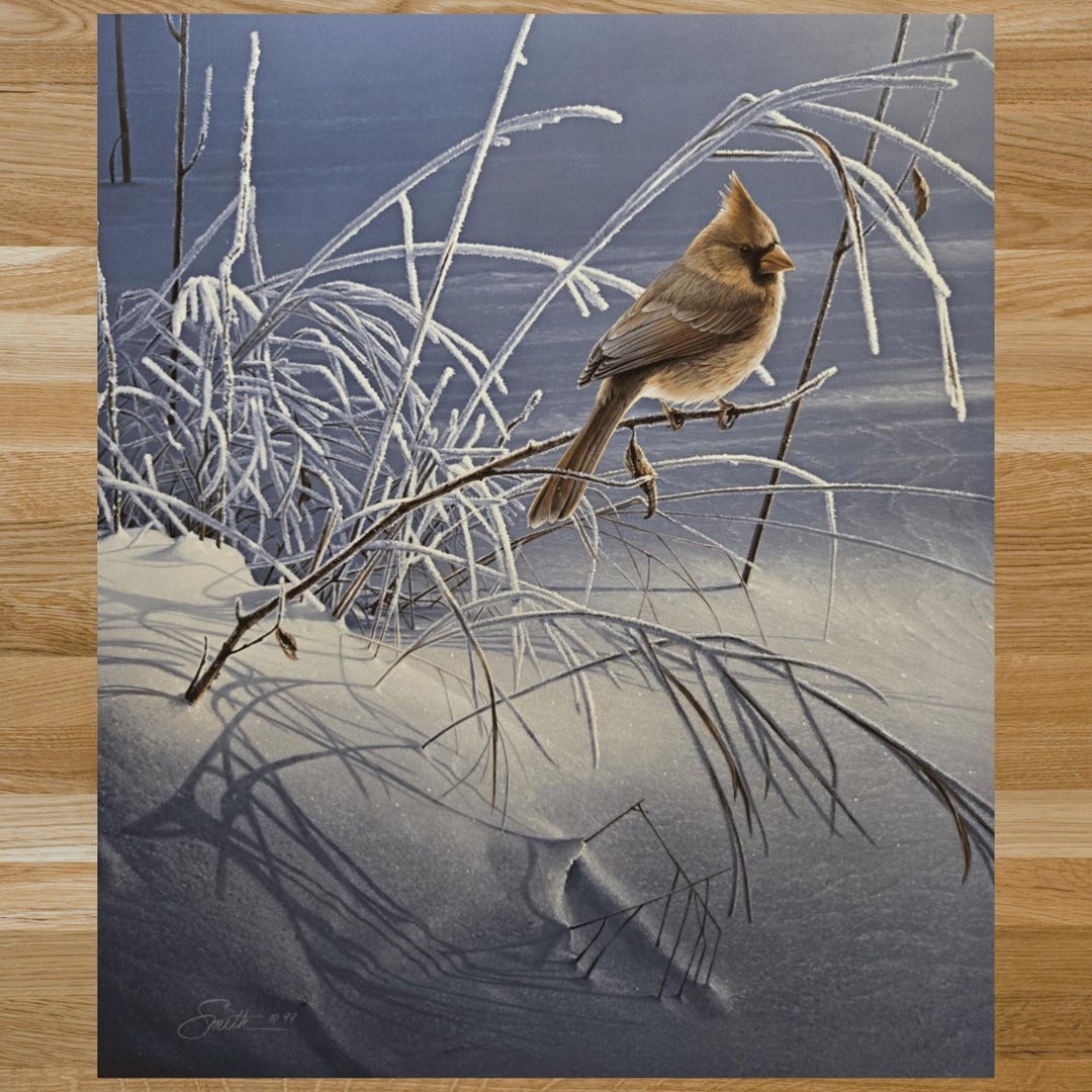 Limited Edition Print by Daniel Smith (1994) Snow Song - Etsy