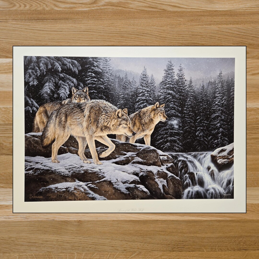 Limited Edition Print by Rosemary Millette (1998) Spirit of the Wild ...