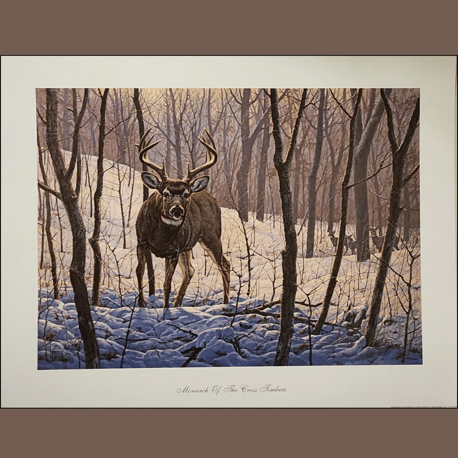 LIMITED EDITION Monarch of the Cross Timbers by Lee Cable 70/500 - Etsy