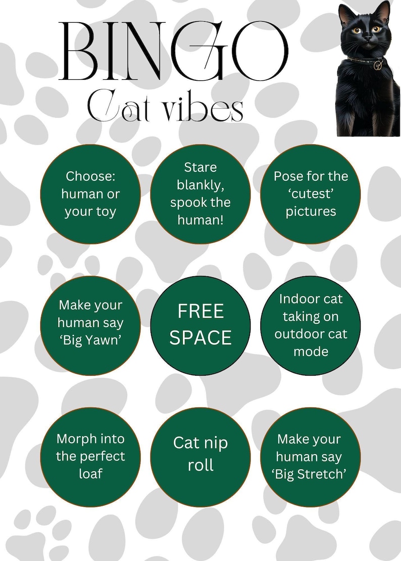 Digital Cat Bingo Card + Animated Files for Social Media, Printable Pet ...