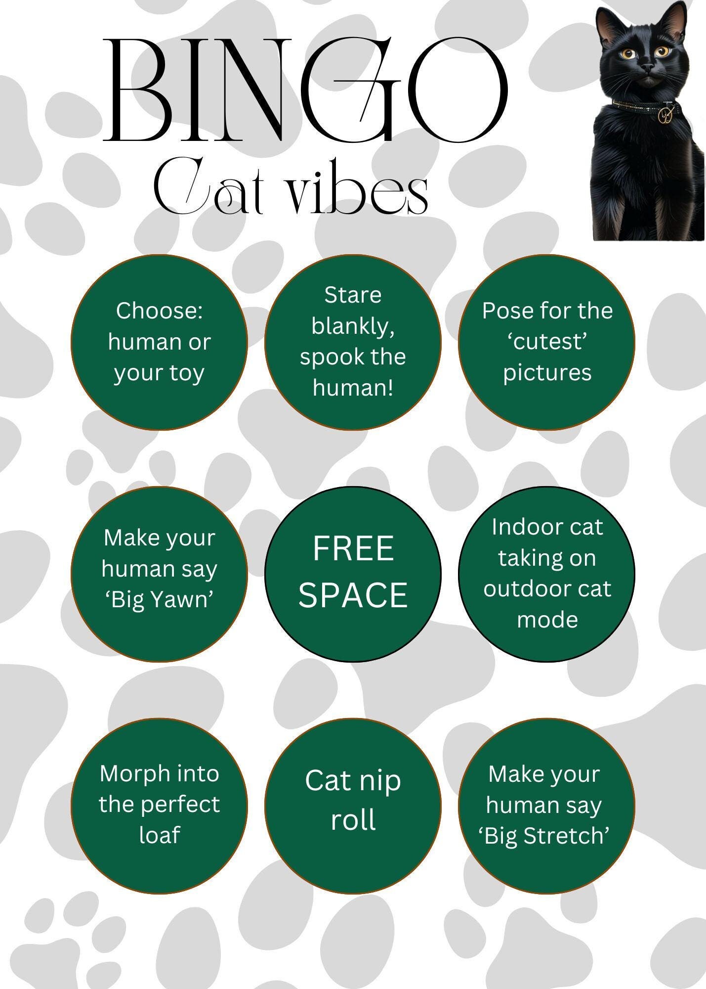Digital Cat Bingo Card + Animated Files for Social Media, Printable Pet ...