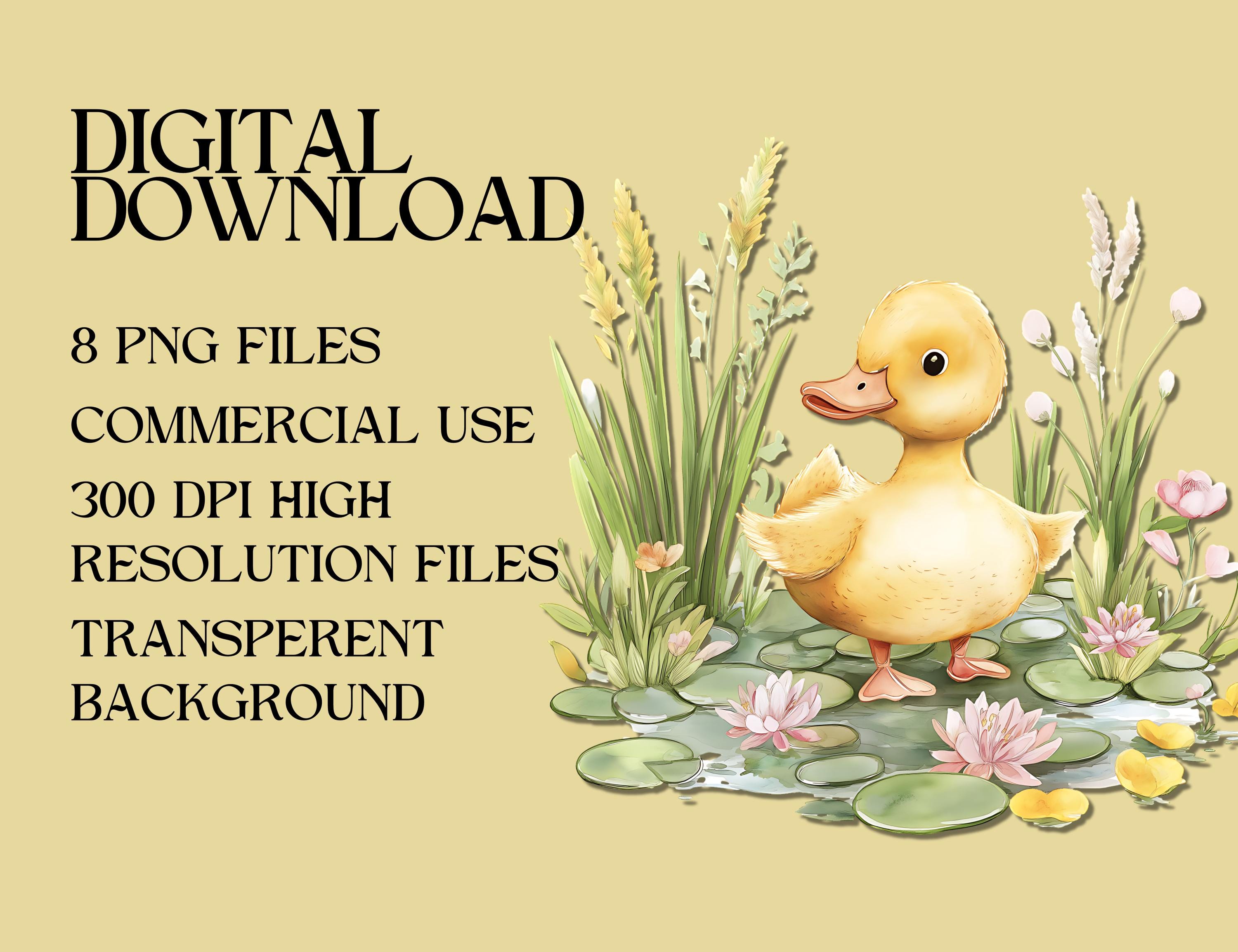 Duck in a Puddle Watercolour Clipart, 8 Duck Clipart Bundle, Digital ...