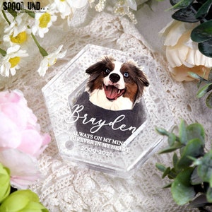 Pet Fur Keepsake With Portrait, Custom Pet Hair Memorial Box, Pet Loss ...