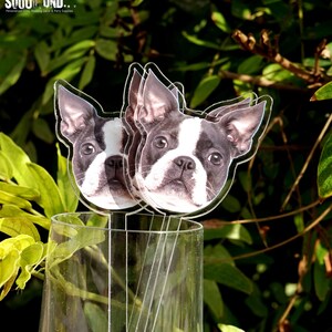 Custom Pet Drink Stirrers, Custom Wedding Stir Sticks, Cocktail ...