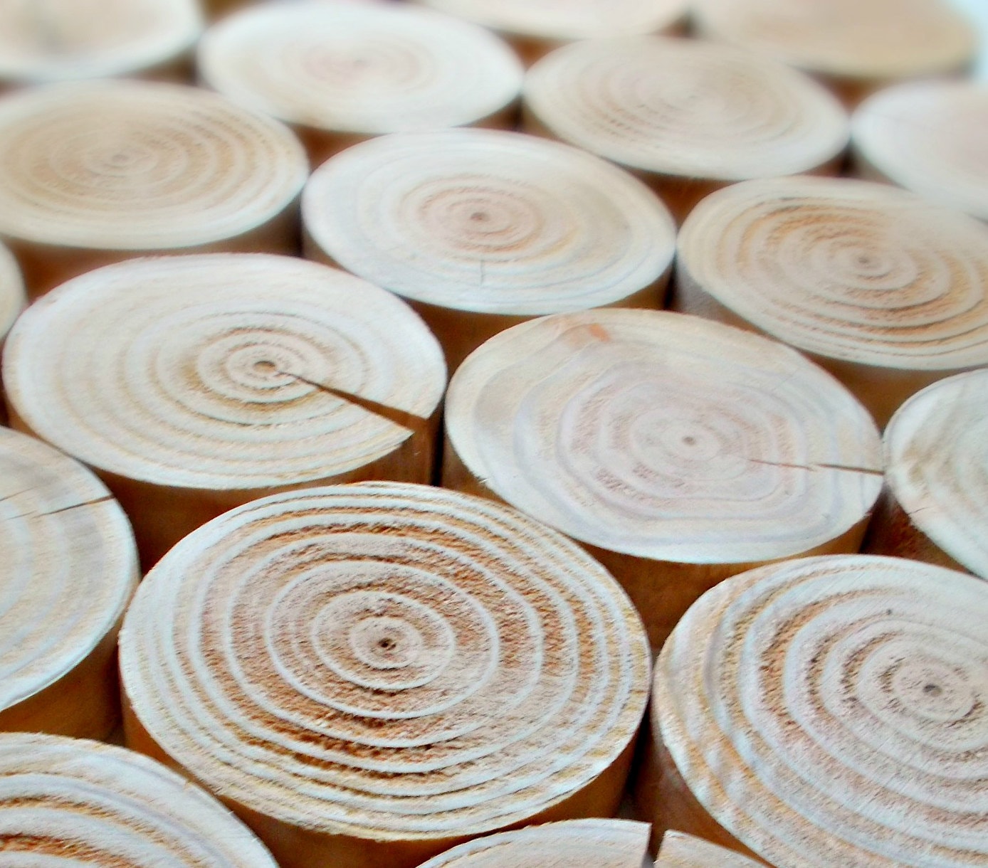 CIRCULAR Decorative Logs Real Wood Round Neat Logs - Etsy UK