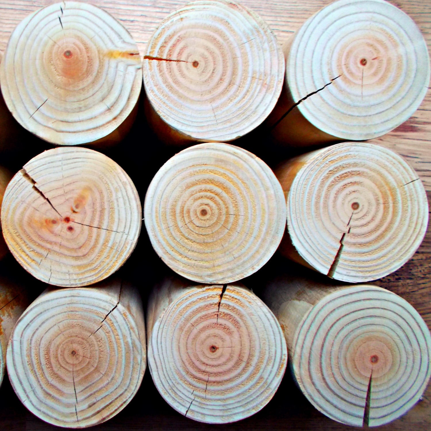 CIRCULAR Decorative Logs Real Wood Round Neat Logs - Etsy UK