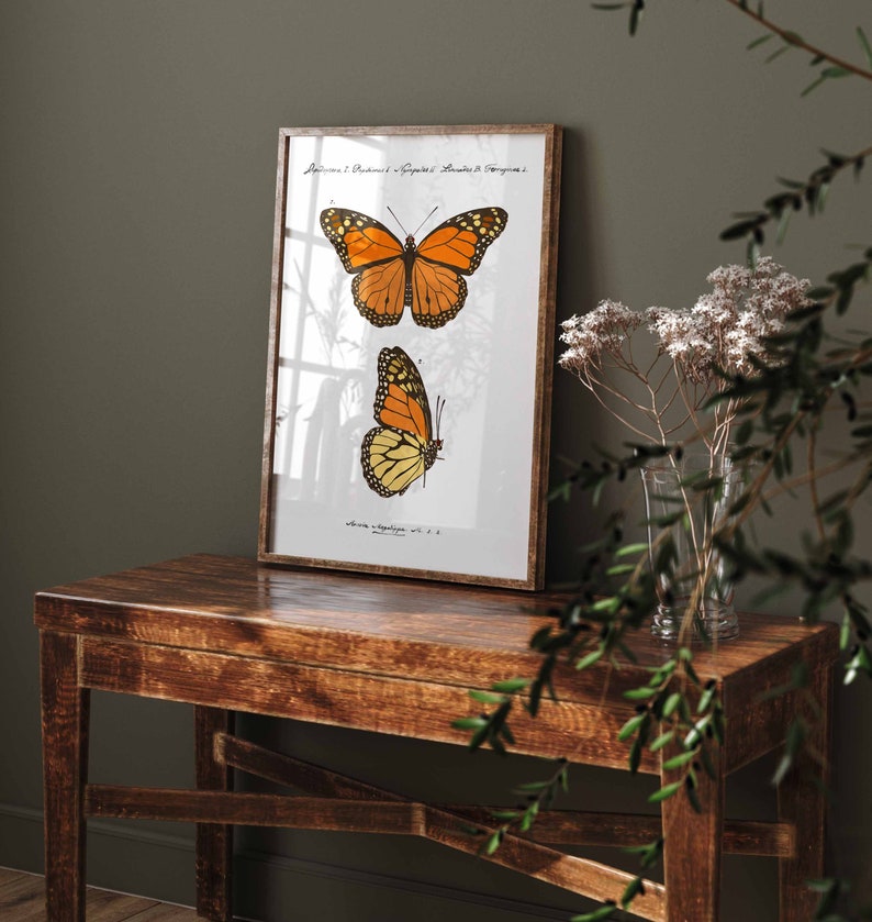 Cottagecore Wall Art, Butterfly Wall Art, Butterfly Print, Vintage Wall ...