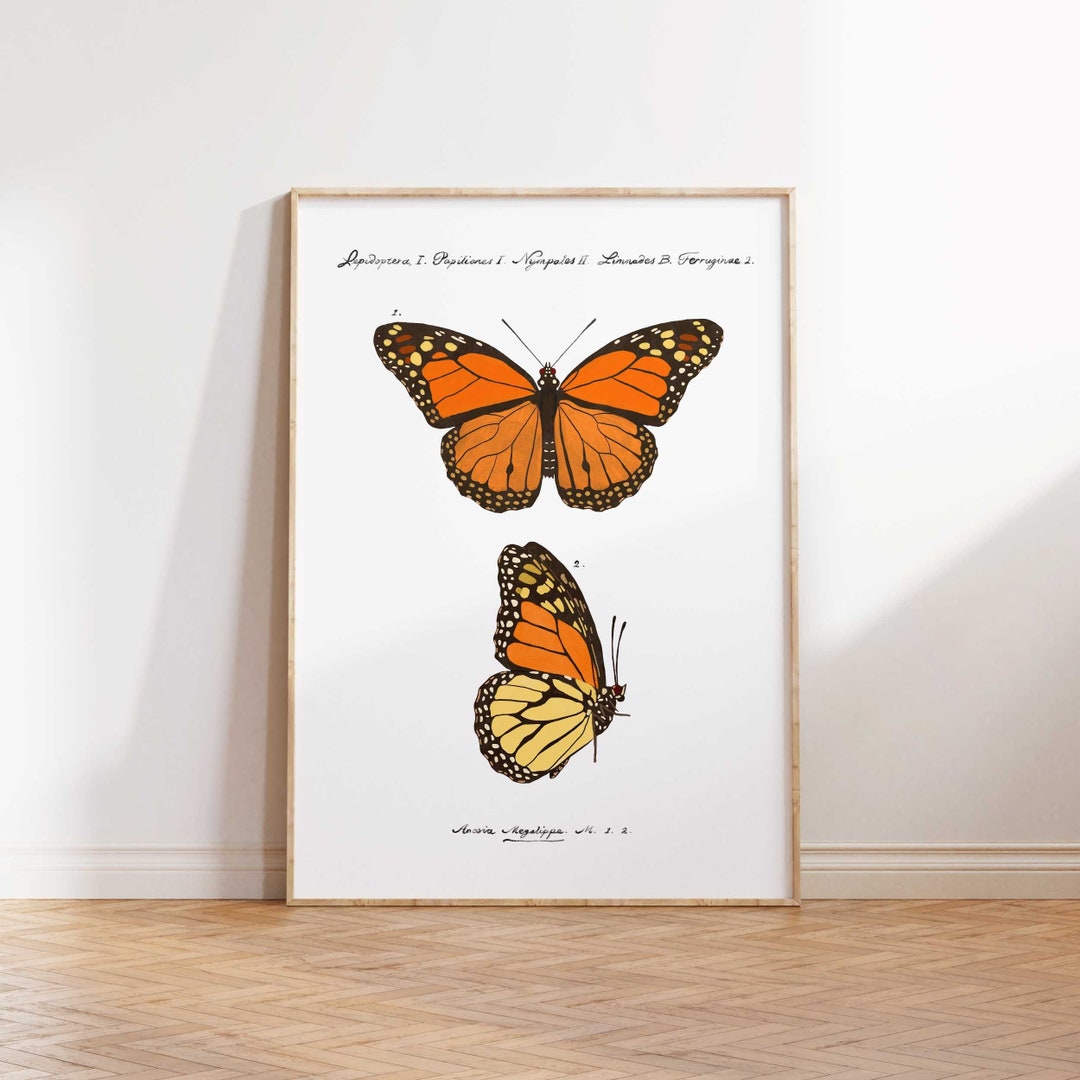 Cottagecore Wall Art, Butterfly Wall Art, Butterfly Print, Vintage Wall ...