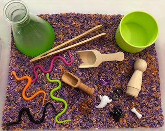 Forest Sensory Bin for Fine Motor Skills, Sensory Bin Filler, Sensory ...