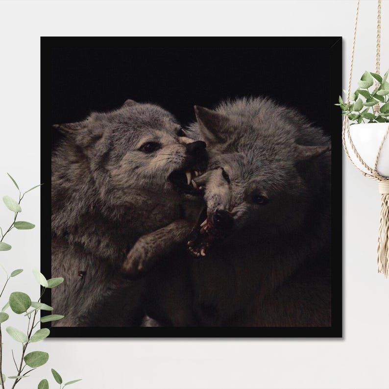 Antique Wolf Painting Dark Academia Gothic, Moody, Rustic Square Wall ...
