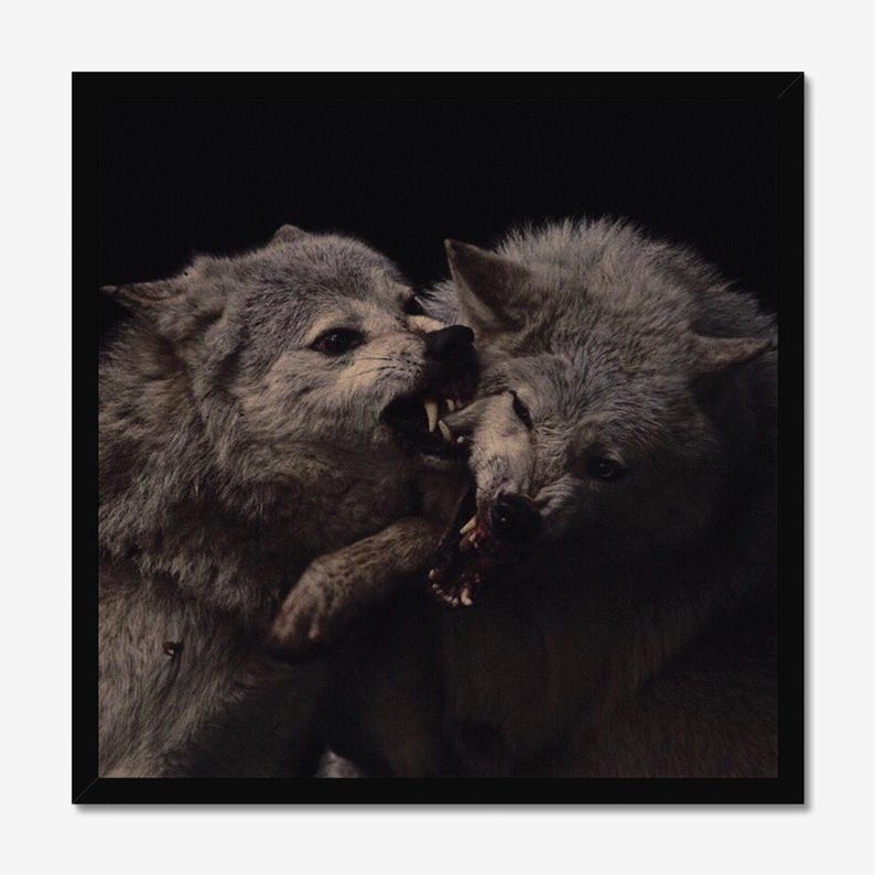 Antique Wolf Painting Dark Academia Gothic, Moody, Rustic Square Wall ...