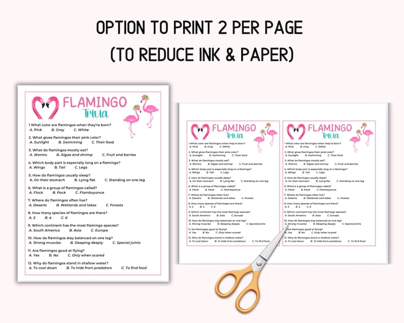 Flamingo Trivia Game Printable for Kids & Adults, Cute Flamingo Party ...