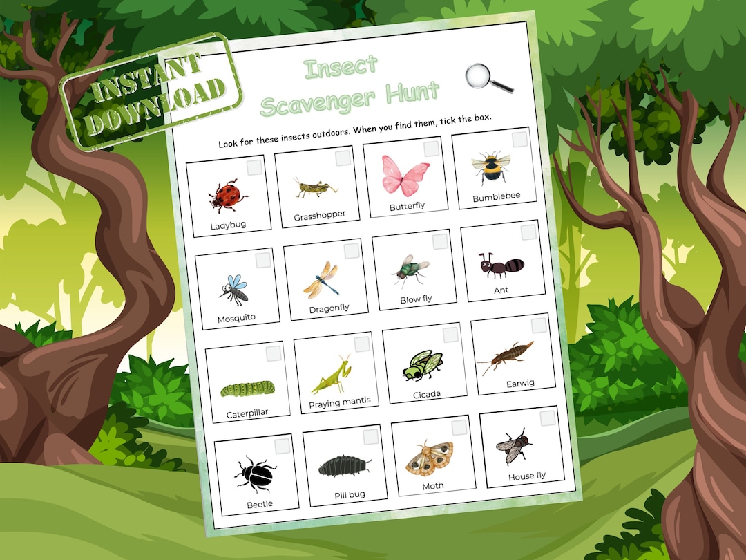 Insect Exploration Set | Educational Nature Game | Forest School ...