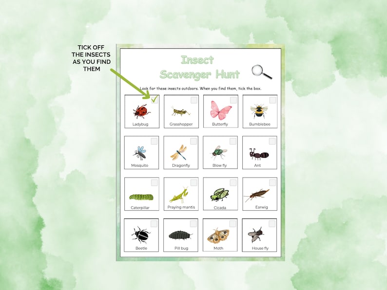 Insect Exploration Set | Educational Nature Game | Forest School ...