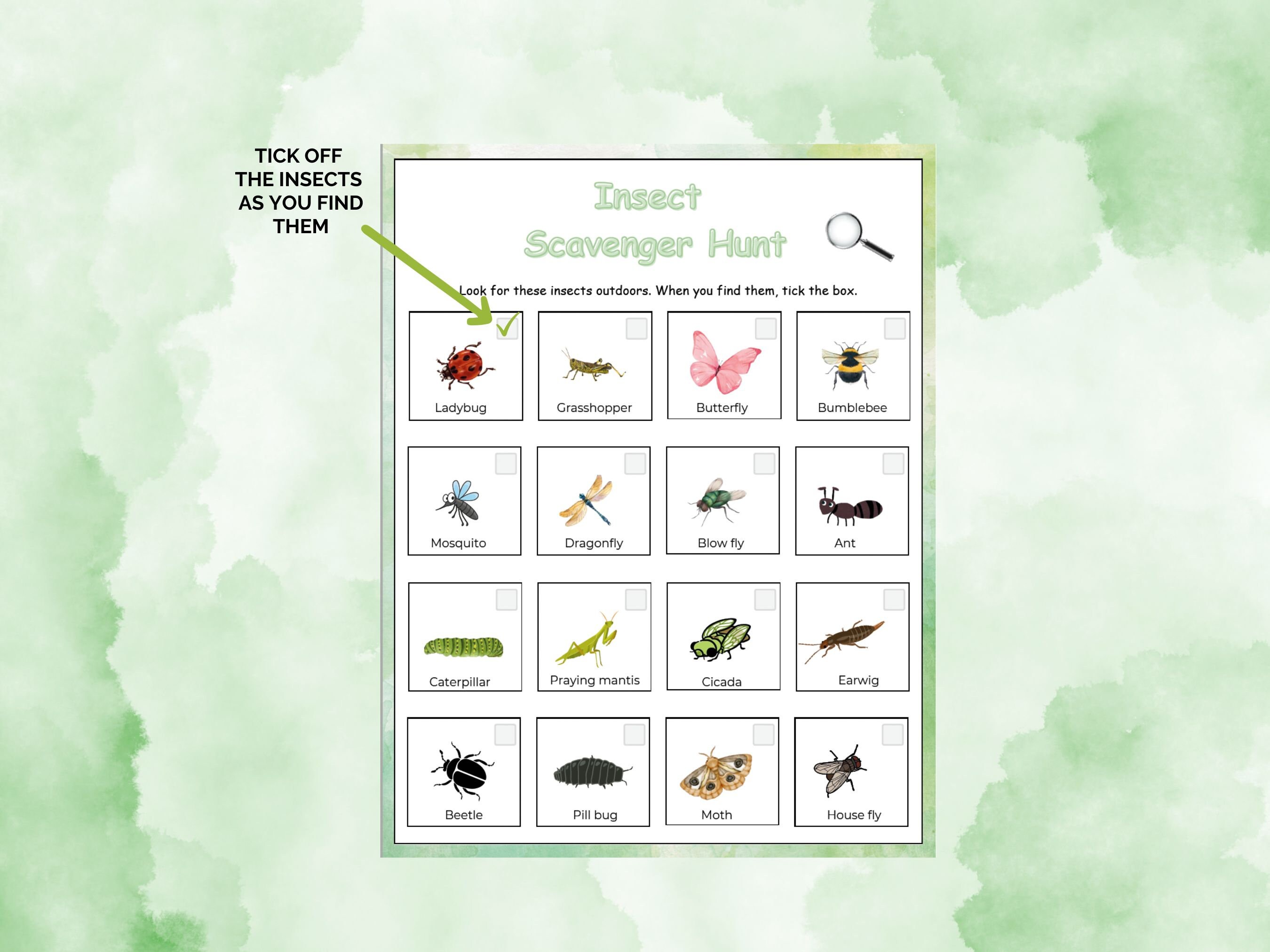 Insect Exploration Set | Educational Nature Game | Forest School ...