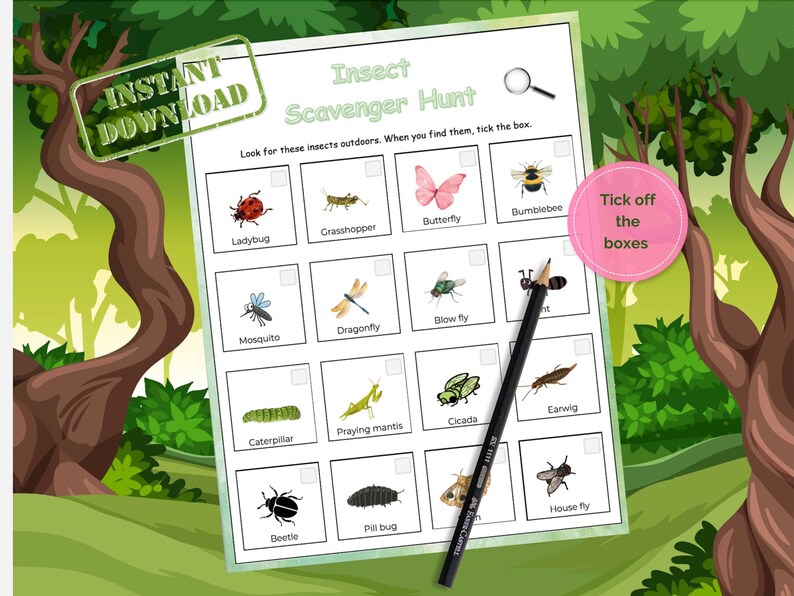 Insect Exploration Set | Educational Nature Game | Forest School ...