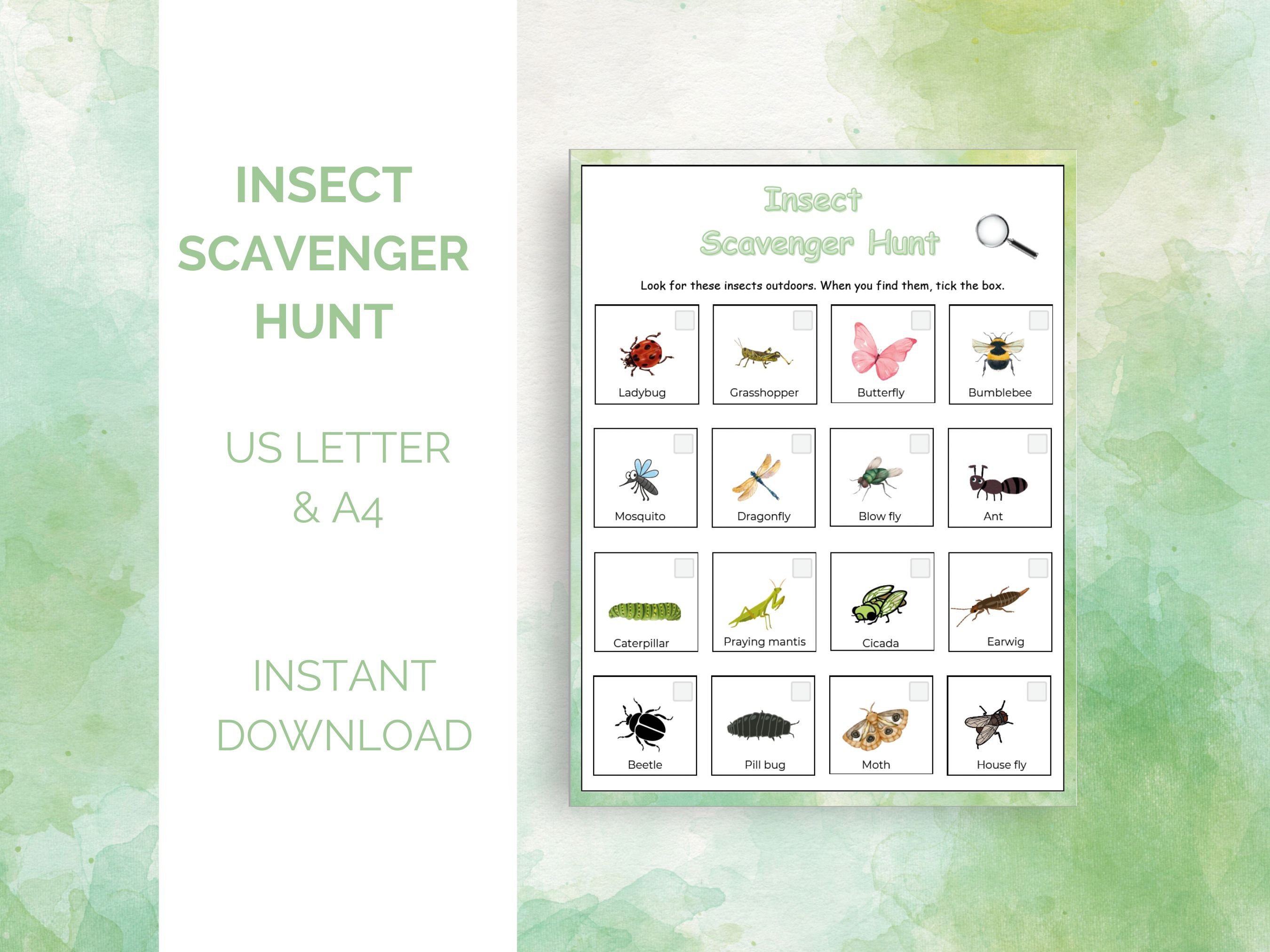 Insect Exploration Set | Educational Nature Game | Forest School ...