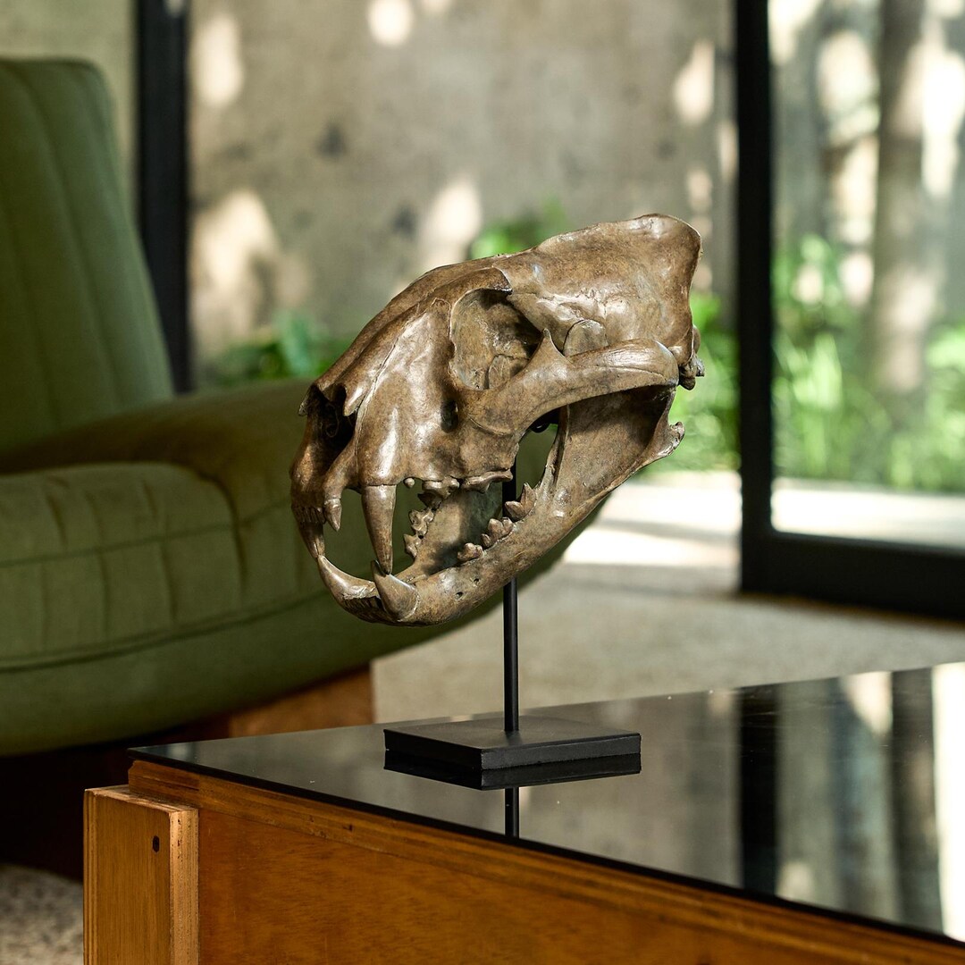 Brown Tiger Skull Resin Sculpture - Animal Fossil Replica - Modern Home ...