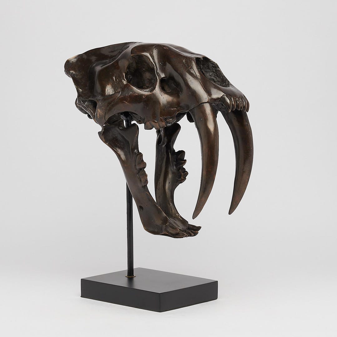 Bronze Tiger Saber Tooth on a Stand - Large | Unique Statement Decor ...
