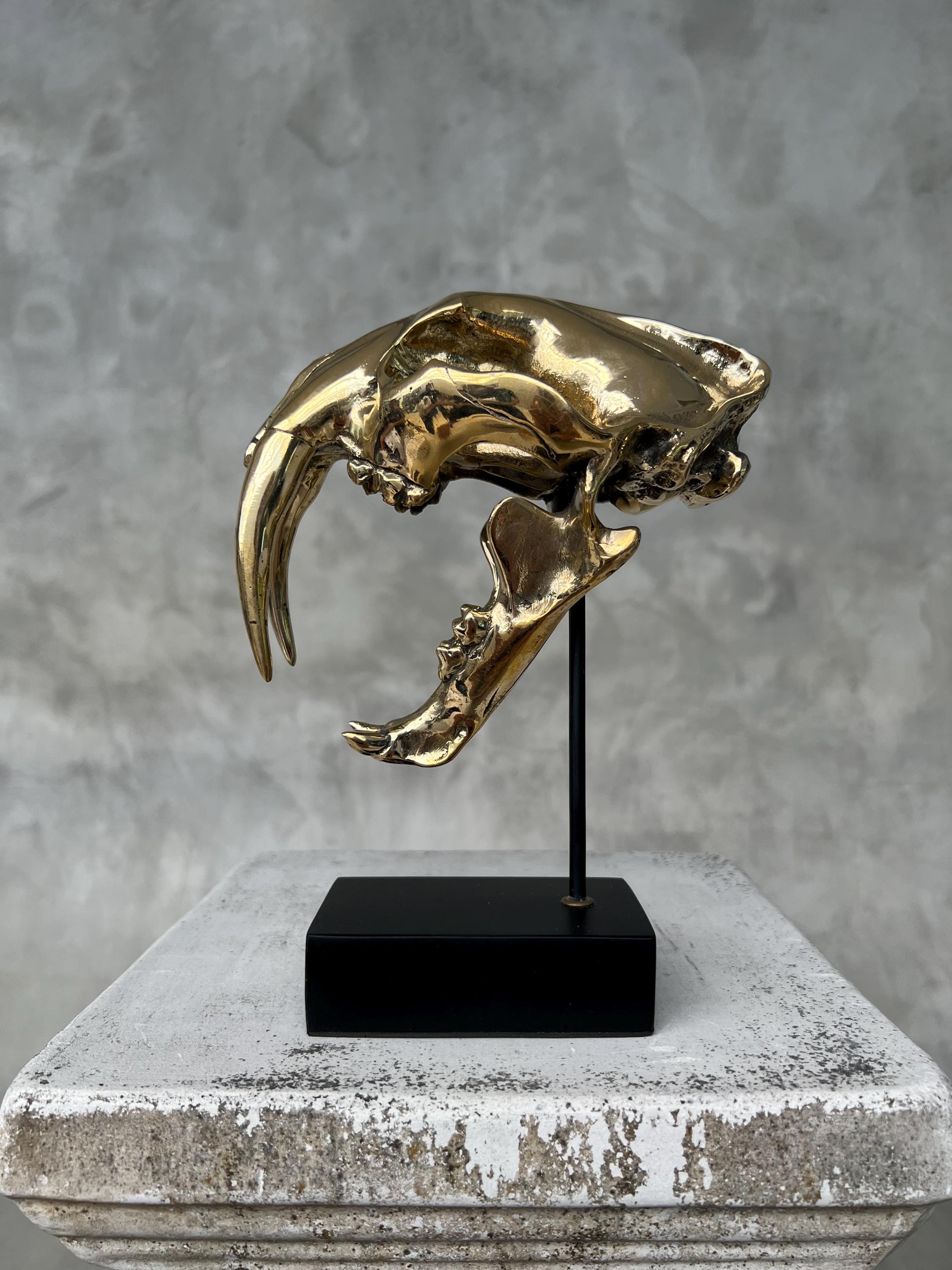 Polished Bronze Saber Tooth Tiger on a Stand - Small | Unique Statement ...