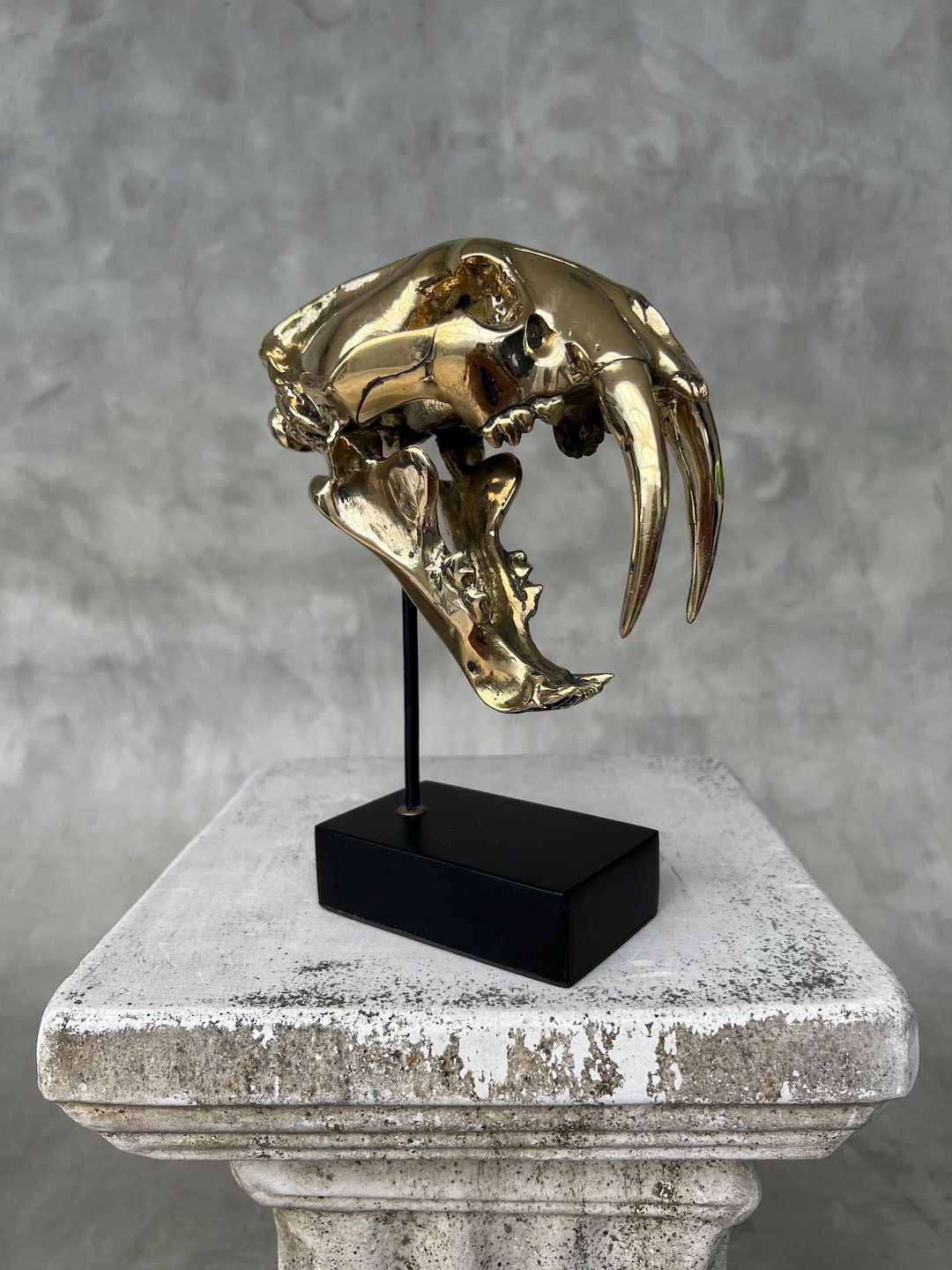 Polished Bronze Saber Tooth Tiger on a Stand - Small | Unique Statement ...