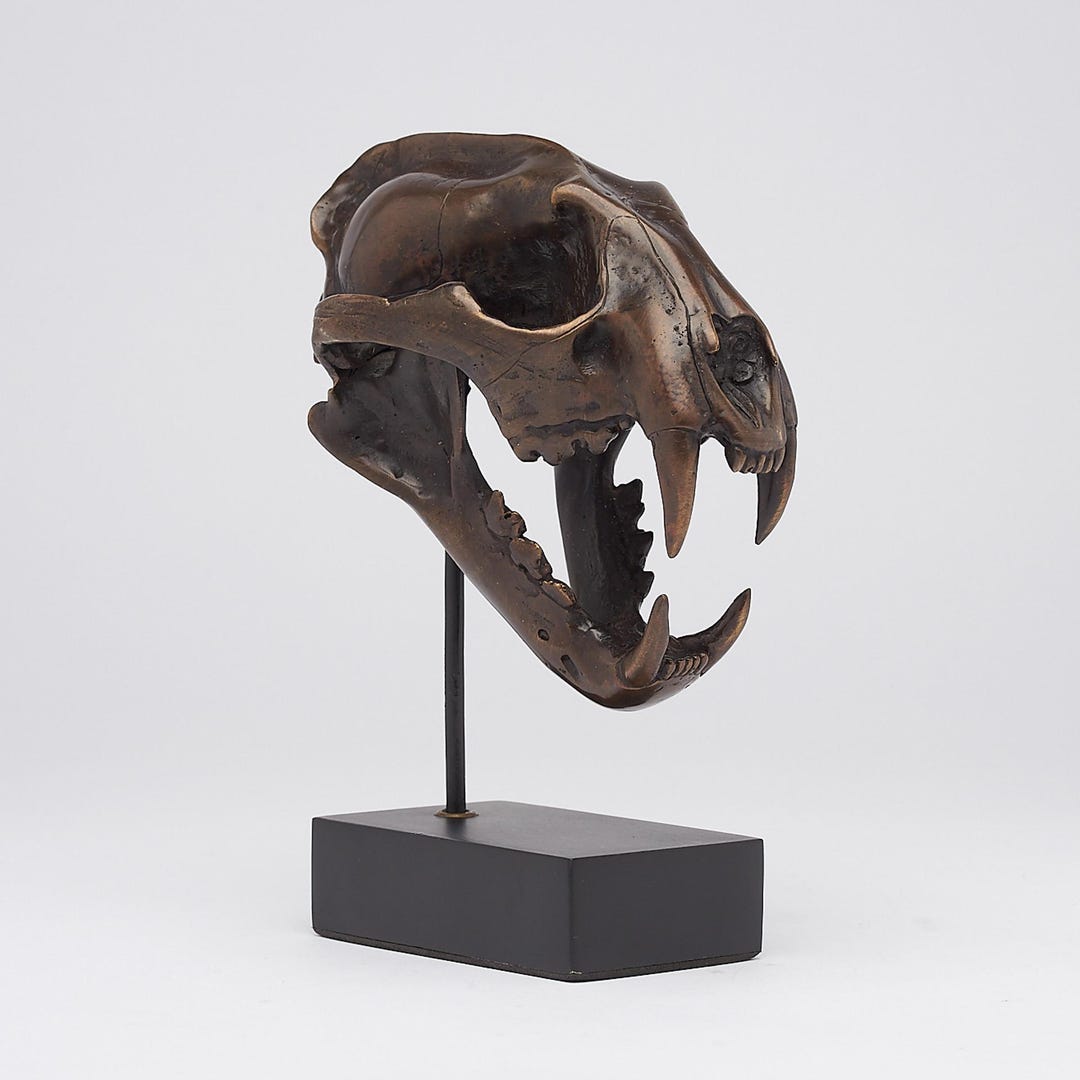 Bronze Snow Leopard Skull Sculpture Medium Unique Animal Skull Decor ...
