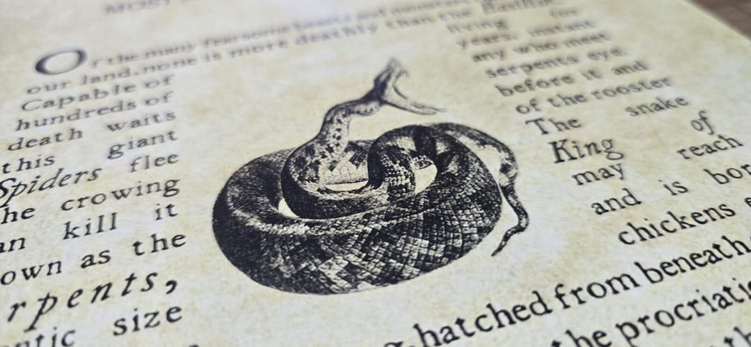 Replica of the Basilisk Page. Inspired by Harry Potter and the Chamber ...