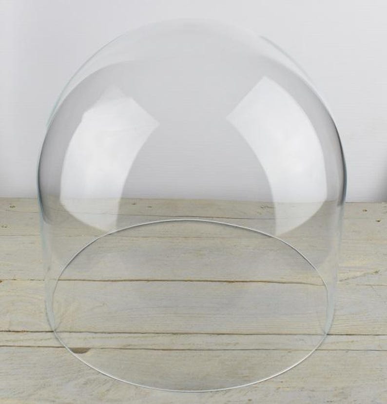 Large Glass Dome Display Cloche Bell 35 X 35.5 Cm - Etsy