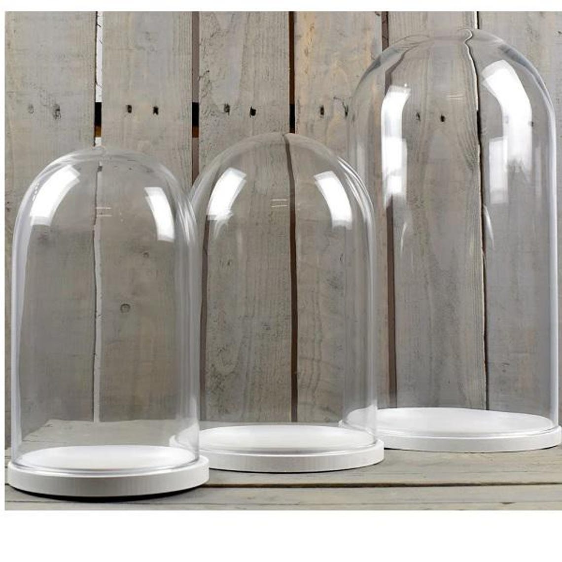 EMH Medium Glass Dome Display Cover Cloche Height 35 X 20cm - Etsy