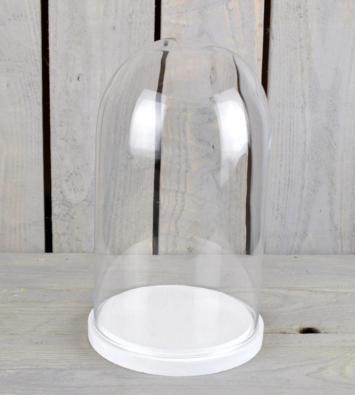 Small Glass Dome Display Cover Cloche White Wooden Base Height 27.5cm ...