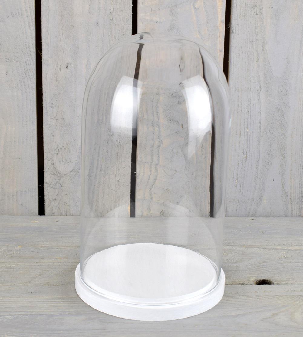 Small Glass Dome Display Cover Cloche White Wooden Base Height 27.5cm ...
