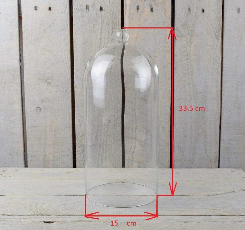 EMH Handmade Clear Circular Glass Cloche Dome Bell With Knob and Black ...