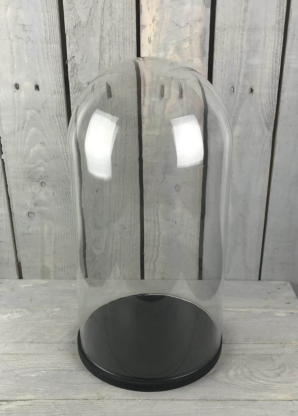 EMH Large Glass Dome Display Cover Cloche Black Base Height 51.5 X 21 ...