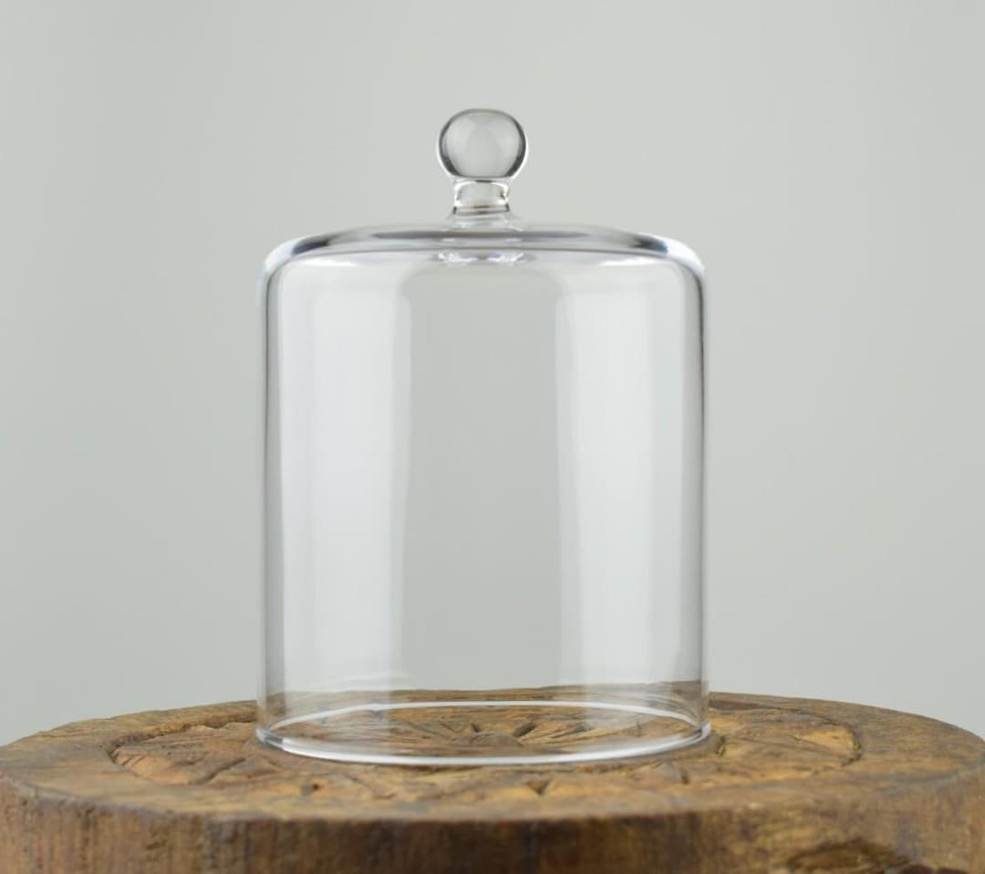 EMH Handmade Glass Display Cover Cloche Bell Dome With Knob Tall 14.5 ...