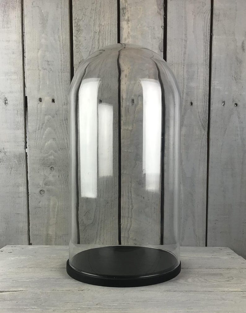 EMH Large Glass Dome Display Cover Cloche Black Base Height 51.5 X 21 ...
