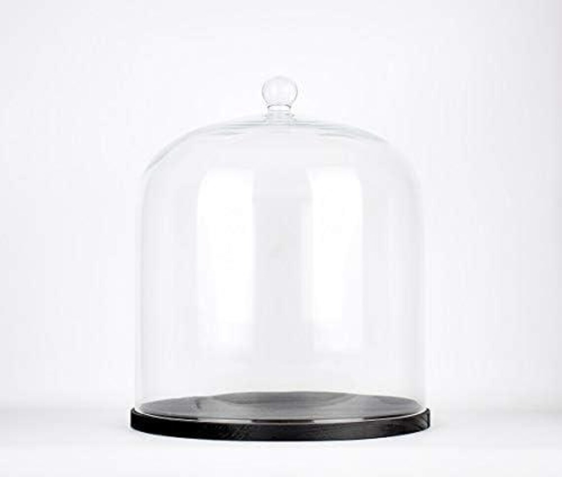 Large Handmade Display Glass Cake Cupcake Dome Cover Cloche With Black ...